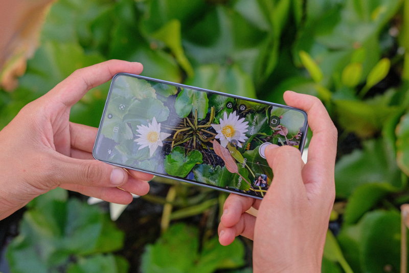 Camera macro là gì? Cách chụp ảnh bằng camera macro đẹp nhất?