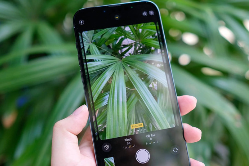 Camera macro là gì? Cách chụp ảnh bằng camera macro đẹp nhất?