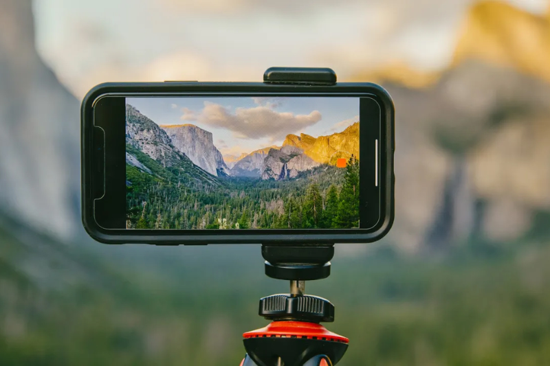 Camera macro là gì? Cách chụp ảnh bằng camera macro đẹp nhất?